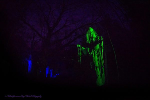 Media - Oak Blood Forest