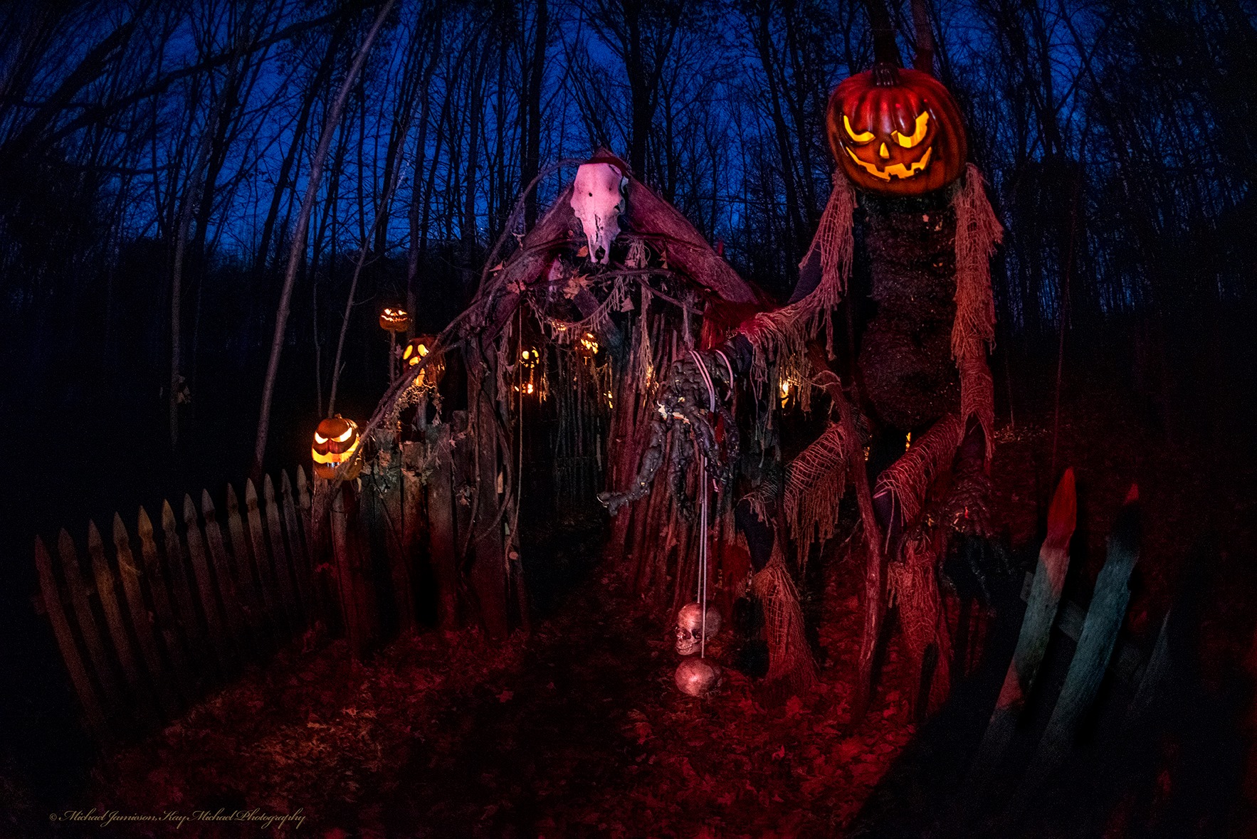 Get Discount Tickets for Oak Blood Forest! Minnesota's New haunt!
